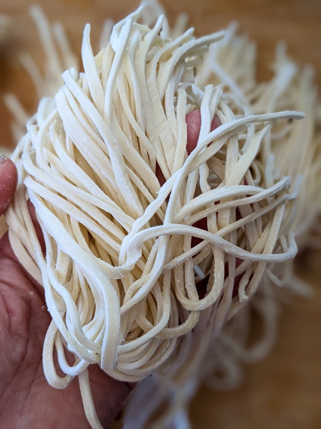 Fresh Noodles with Chicken (2-ways) – Tall Girl's Kitchen